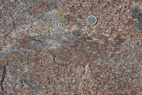 Magmatic breccia; Prado de las Pozas, Gredos